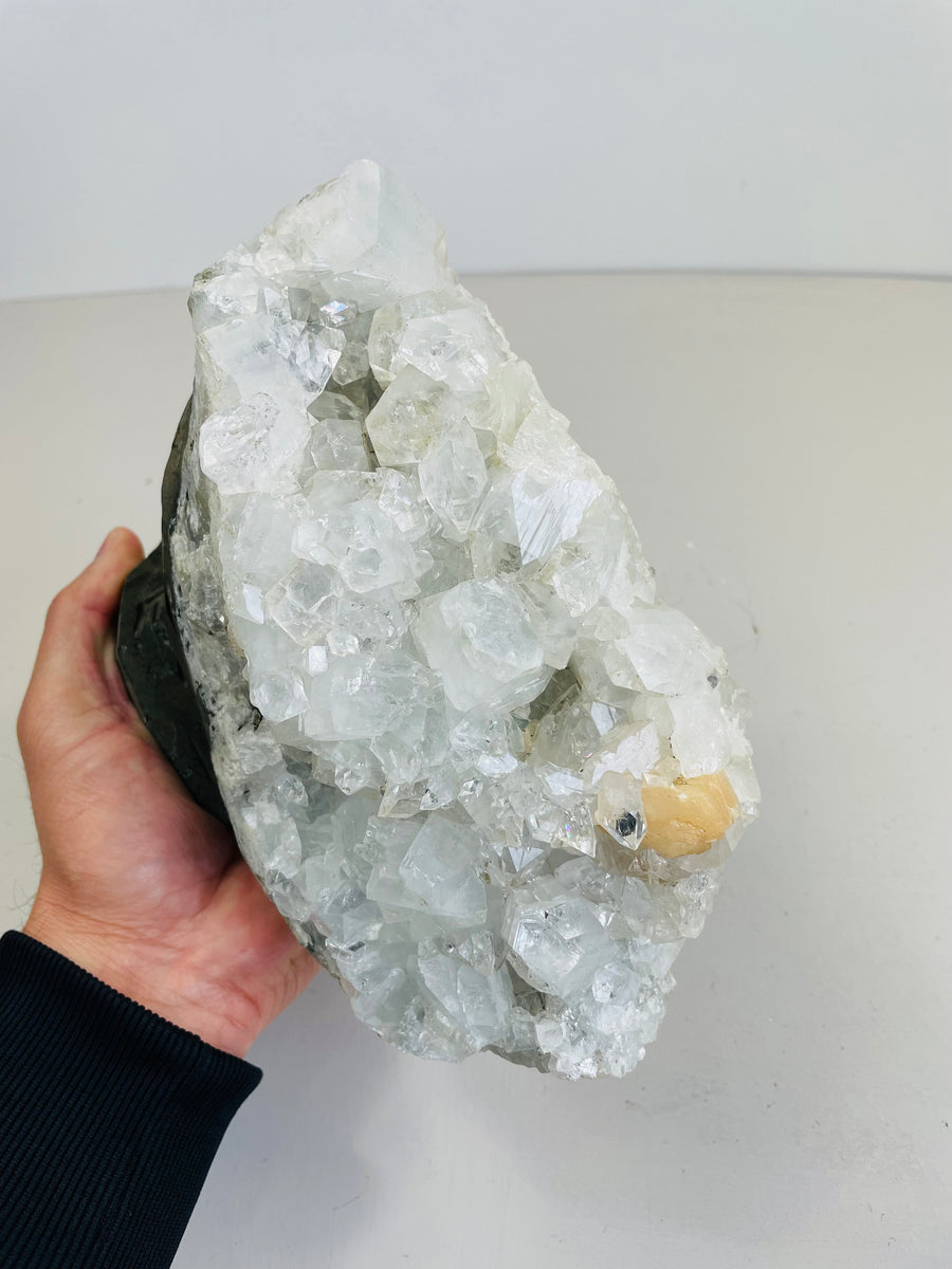 Apophyllite Geode Free Standing Crystal Cluster AP320a – Crystal King ...